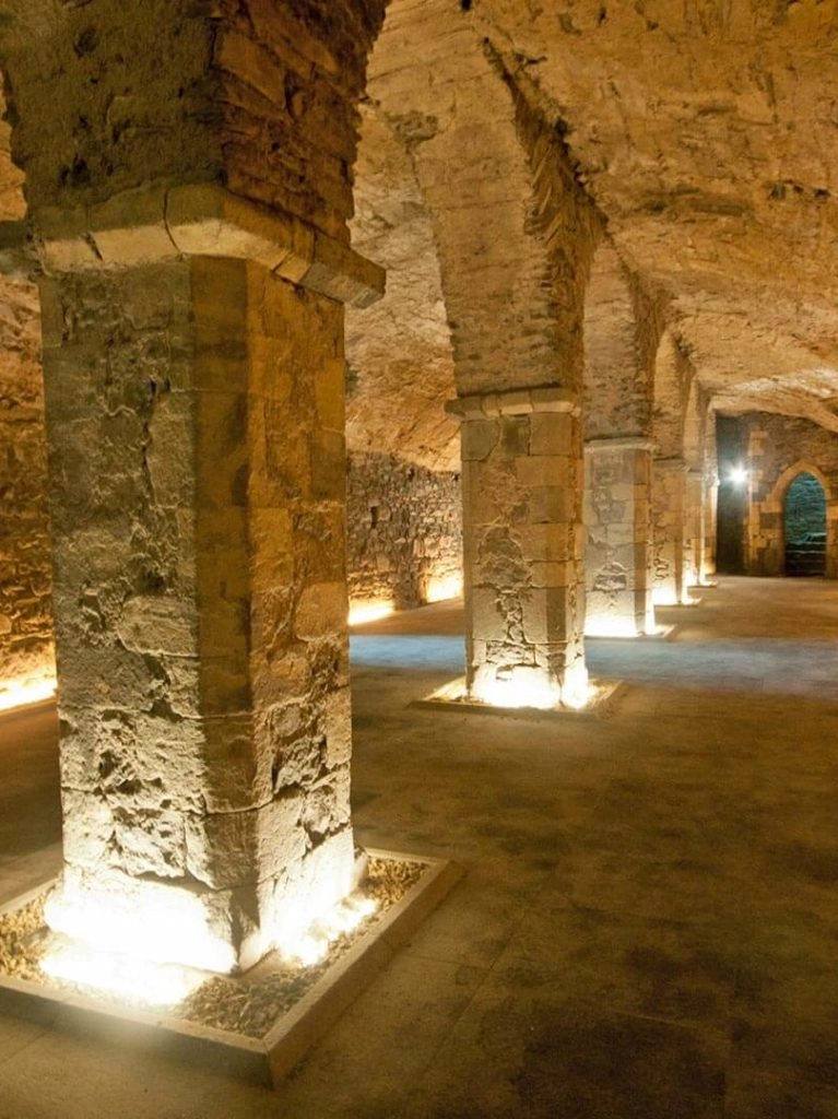 Medieval Museum Waterford | What To Do In Waterford | Treacys Hotel